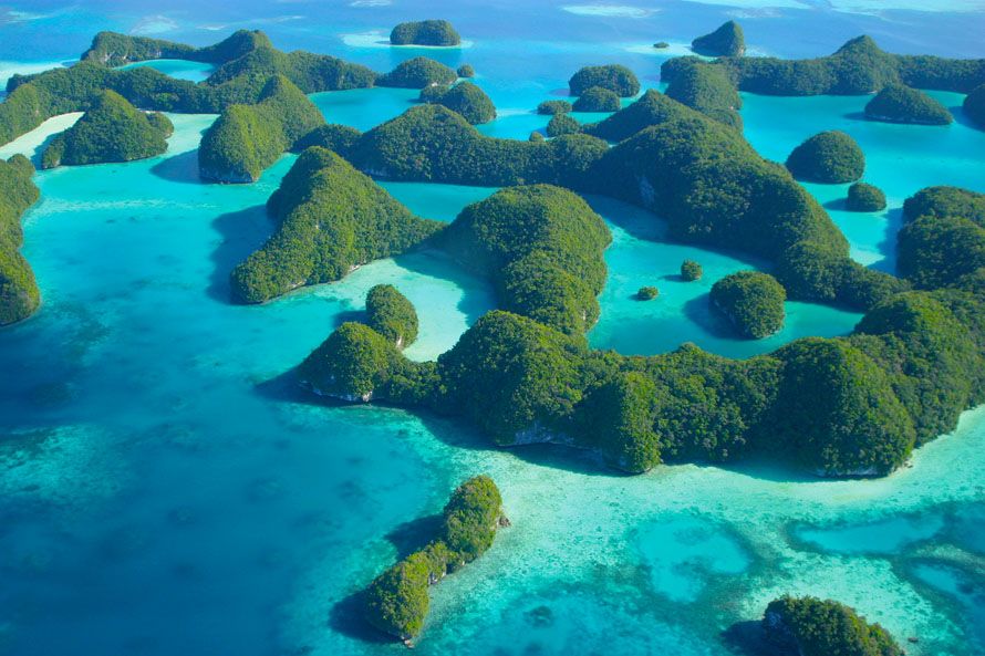 Tauchreise Yap & Palau 🤿